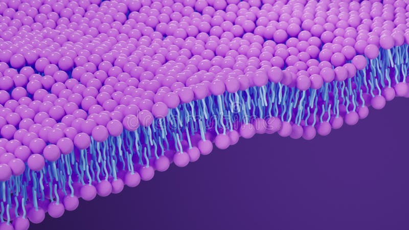 Cell Membrane Structure Background, 3d Rendering Stock Video - Video of ...