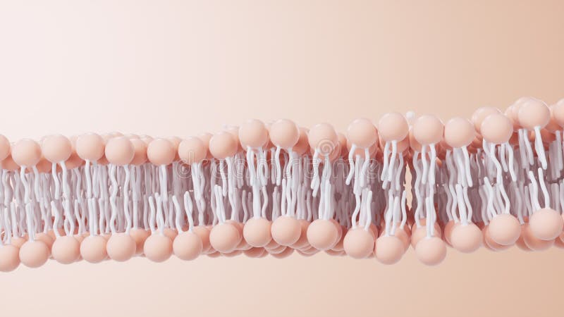 Cell Membrane Structure Background, 3d Rendering Stock Footage - Video ...