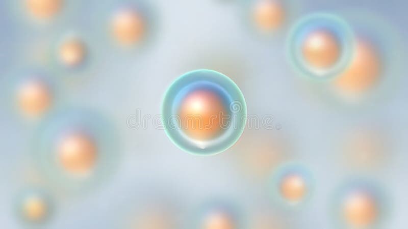 Cells Undergoing Mitosis, the Process of Cell Division and ...