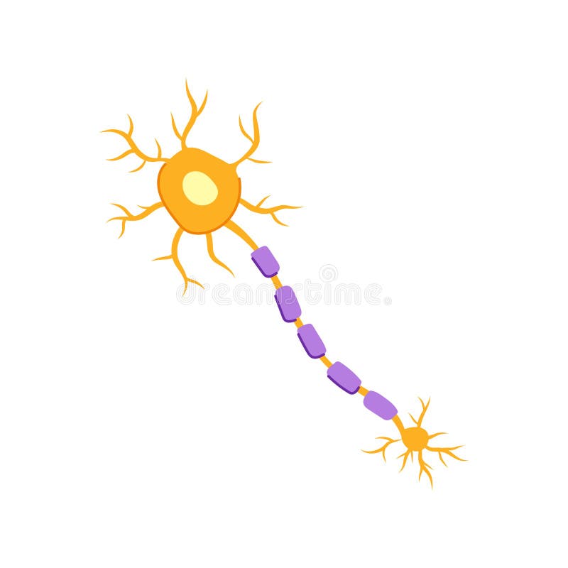 Cell Neurons Cartoon Vector Illustration Stock Vector - Illustration of ... Cell Neurons Cartoon Vector Illustration Stock Vector - Illustration of ...