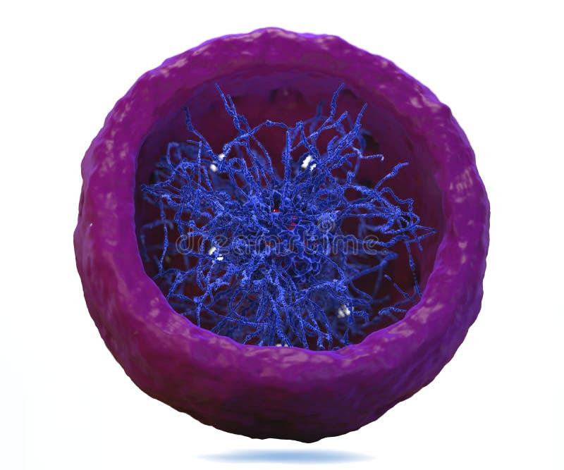 Nucleus Stock Illustrations – 36,118 Nucleus Stock Illustrations ...