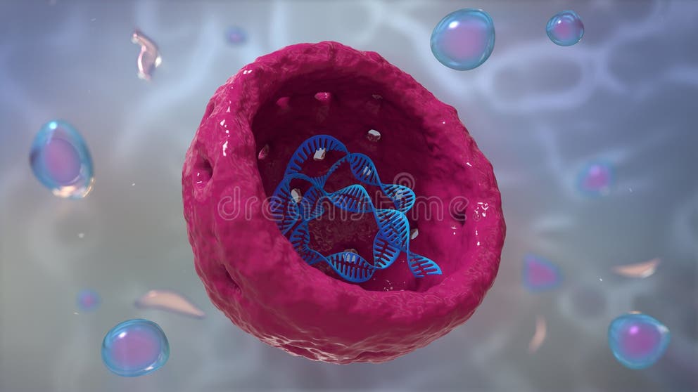 Nucleus Stock Illustrations – 48,554 Nucleus Stock Illustrations ...