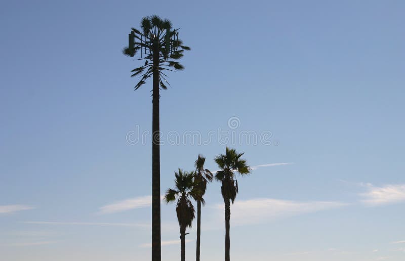 Cell Phone Tower Disguised As a Palm Tree Stock Photo - Image of ...