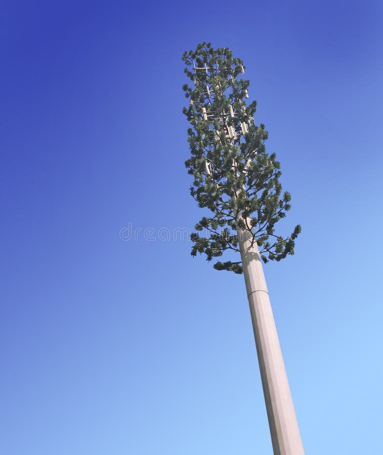 Cell Phone Tower Disguised As A Tree Stock Photo - Image of modern ...