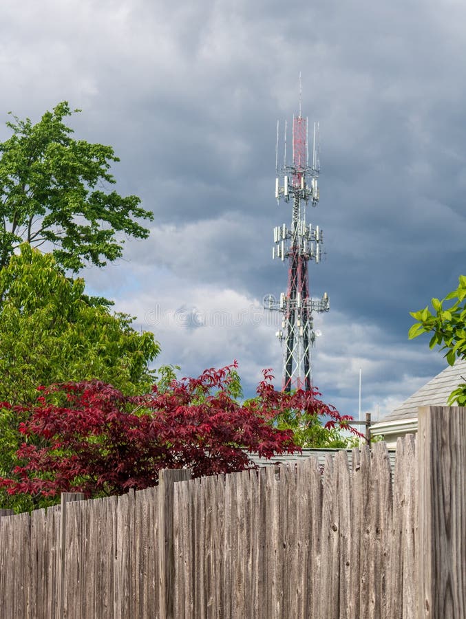 Cell Phone Tower With Trees Stock Photo - Image of mobile ...