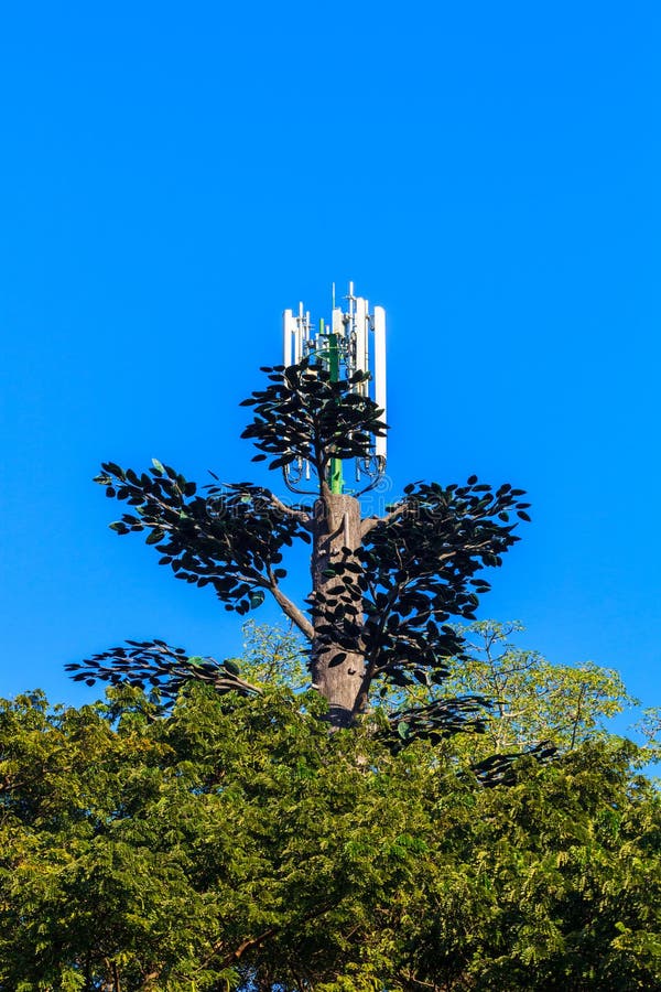 Cell phone tower tree stock image. Image of city, communication - 36653369