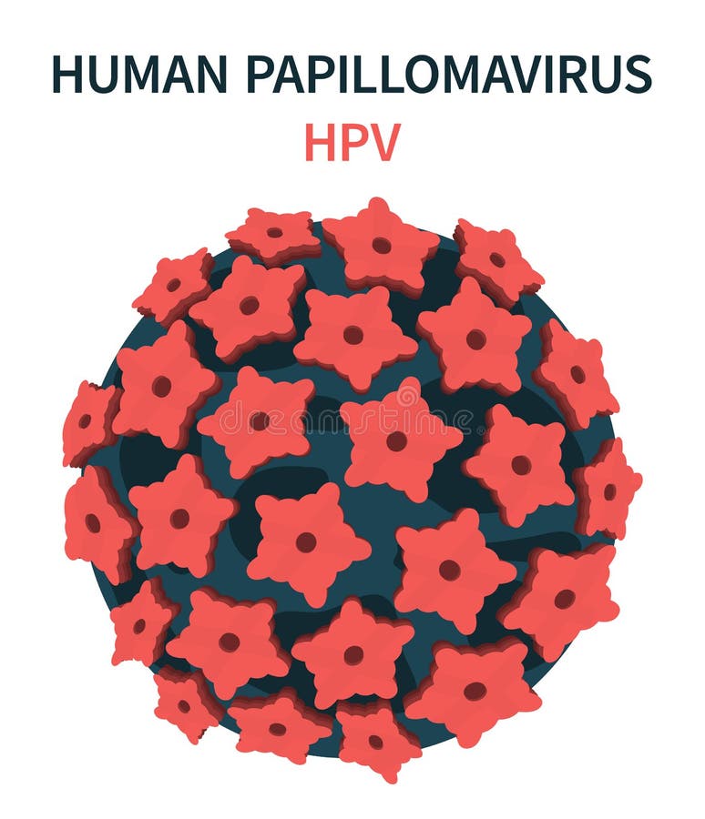 Cell Structure of the Human Papillomavirus HPV Stock Vector ...
