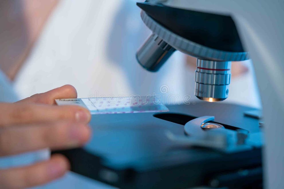 Cell Structure Investigation: Microscopes Allow Visualizing Microscopi ...