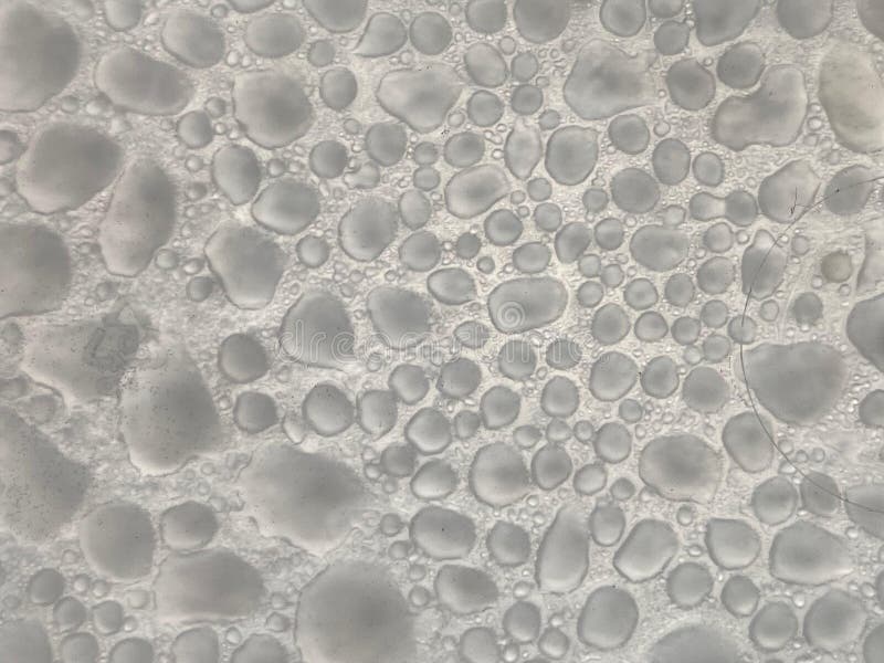 Cell Structure in Macro Cells Water Texture Stock Photo - Image of ...