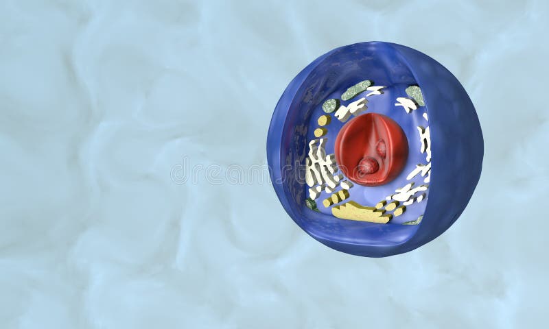 Cell Structure Model, Background 3d Render Stock Illustration ...