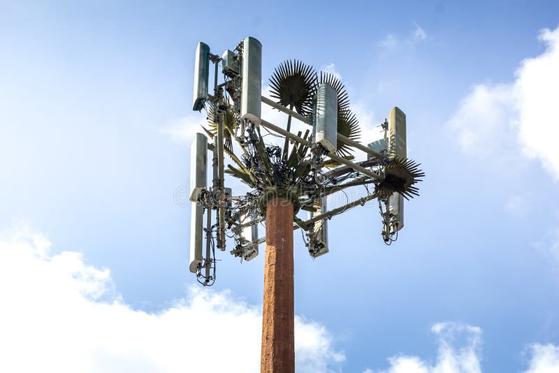 Cell Tower Disguised As a Tree Stock Photo - Image of internet, company ...