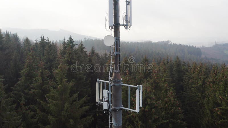 Cell Tower in the Forest Filmed in 4k Stock Footage - Video of forest ...