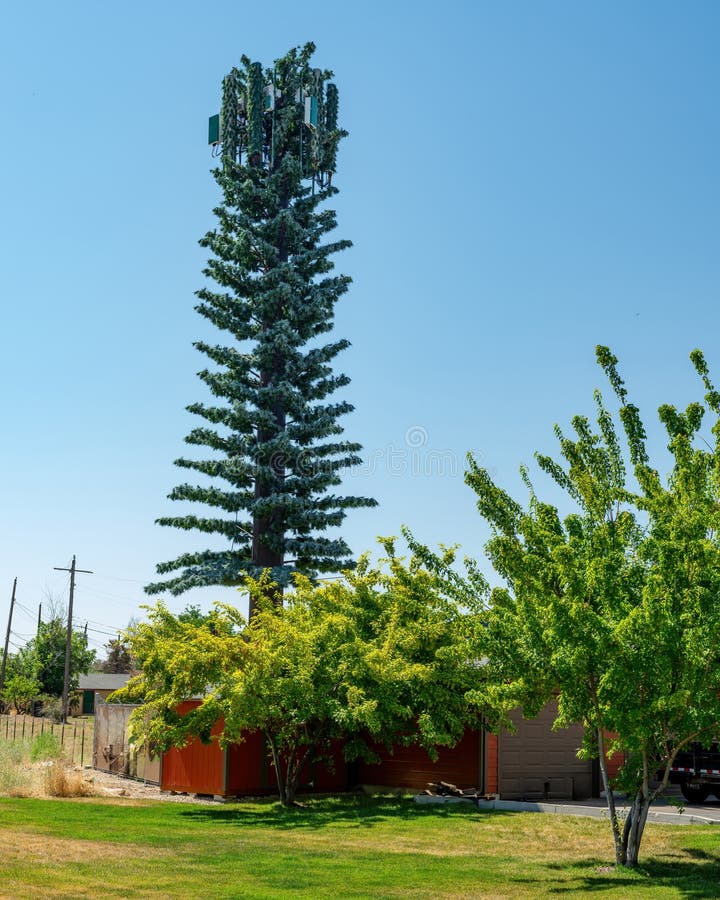 103 Pine Tree Cell Tower Stock Photos - Free & Royalty-Free Stock ...