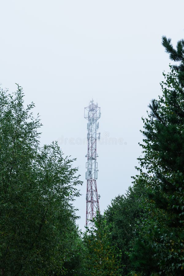 Cell Tower in the Misty Forest. Selective Focus Stock Photo - Image of ...