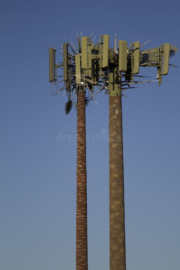 Cell Tower Palm Trees stock image. Image of wireless - 22594527