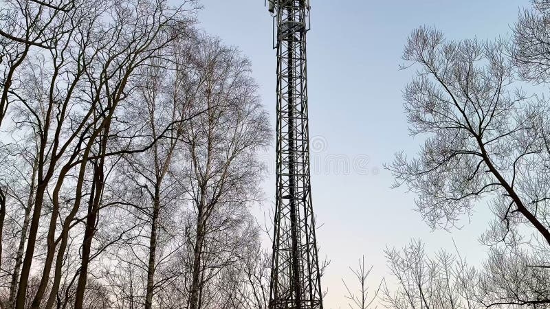 A Cell Tower is Surrounded by Lush Trees Beneath a Clear and Beautiful ...