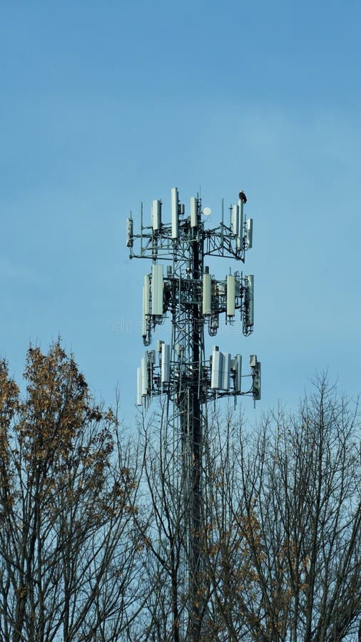 617 Eagle Energy Photos - Free & Royalty-Free Stock Photos from Dreamstime