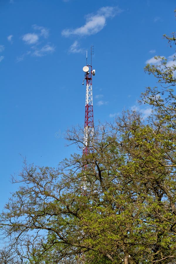 Cell Tower Towering Above the Trees, Telecommunications Tower, Vertical ...