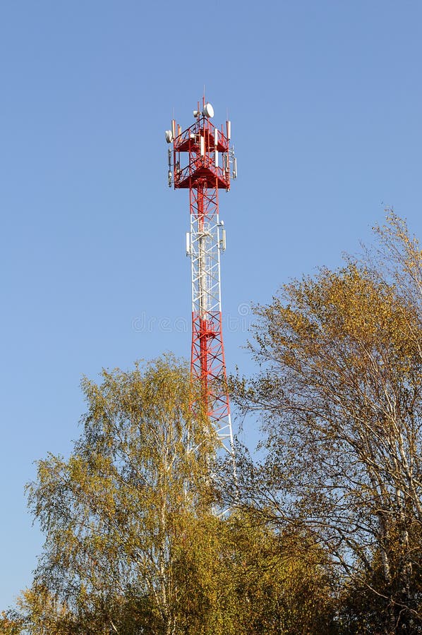 Cell tower among the trees stock image. Image of cell - 50269261