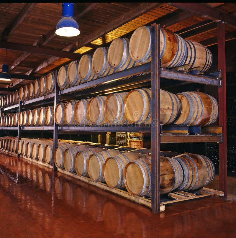 Cellar with Barrels. Rows of Old Barrels Editorial Photography - Image ...