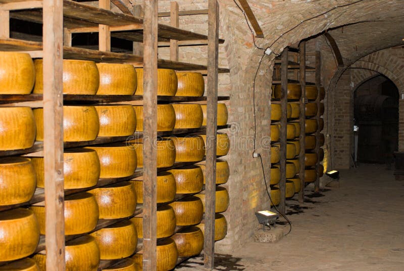 Cheese In Cellar stock image. Image of stack, maturation - 6270277