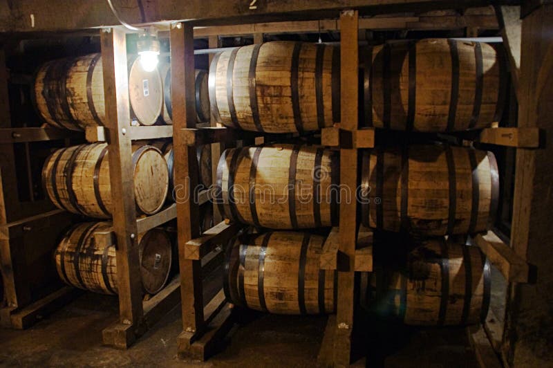 Whisky Cellar stock photo. Image of barrel, artisan - 187751258