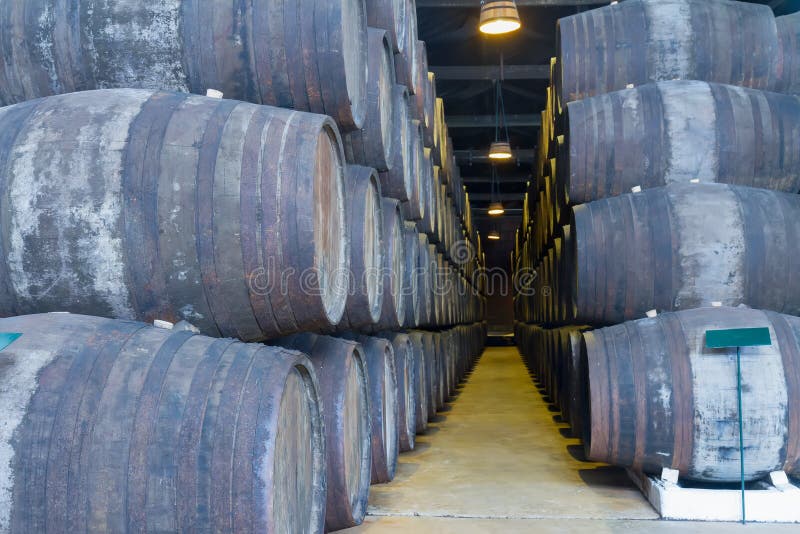 Cellar with wine barrels stock image. Image of basement - 55569223