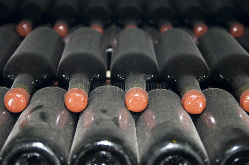 Cellars with wine bottles stock photo. Image of alcohol - 26525364