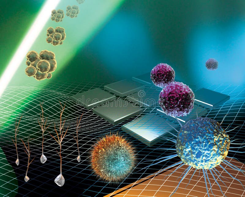 Exosome Del 8, En Proteinprodukt Stock Illustrationer - Illustration av ...