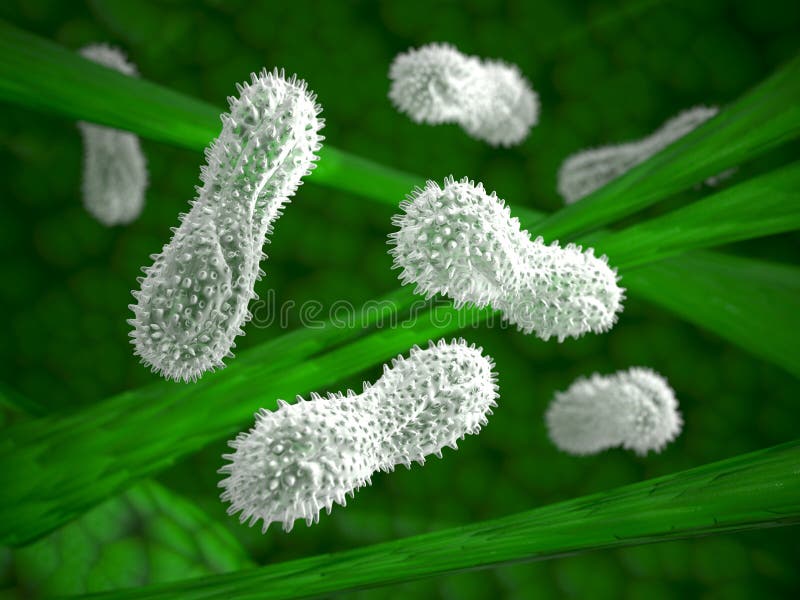 Cellige organismen stock illustratie. Illustration of medisch - 52180440