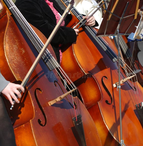 Cellists stock image. Image of cello, strings, musical - 2519751