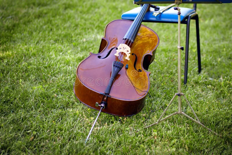 Cello in the autumn park stock photo. Image of city - 107637132