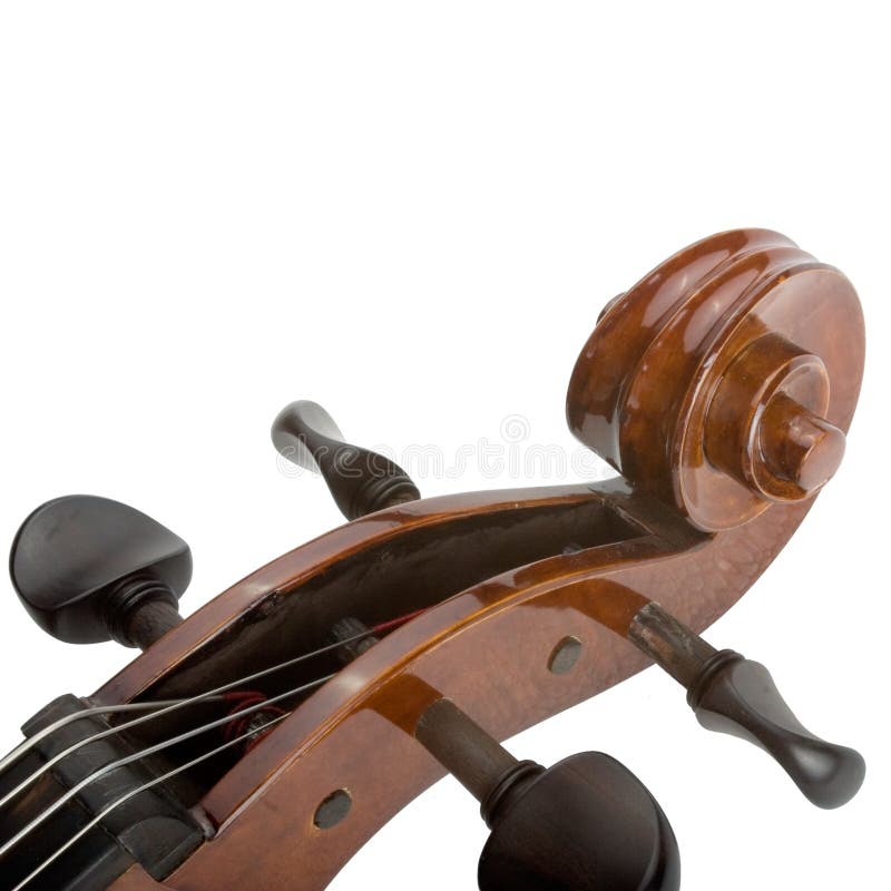 Cello close up stock image. Image of cutout, instrument - 2595323
