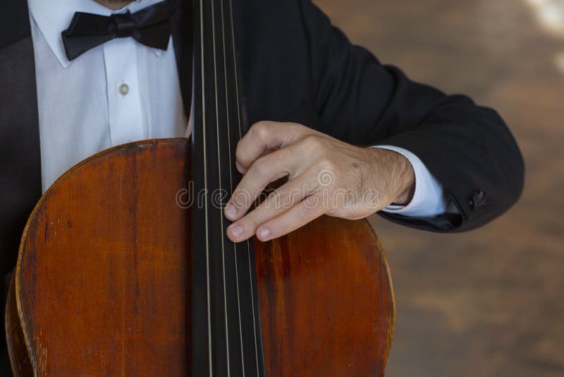 Cello close up stock photo. Image of musician, classical - 85169078