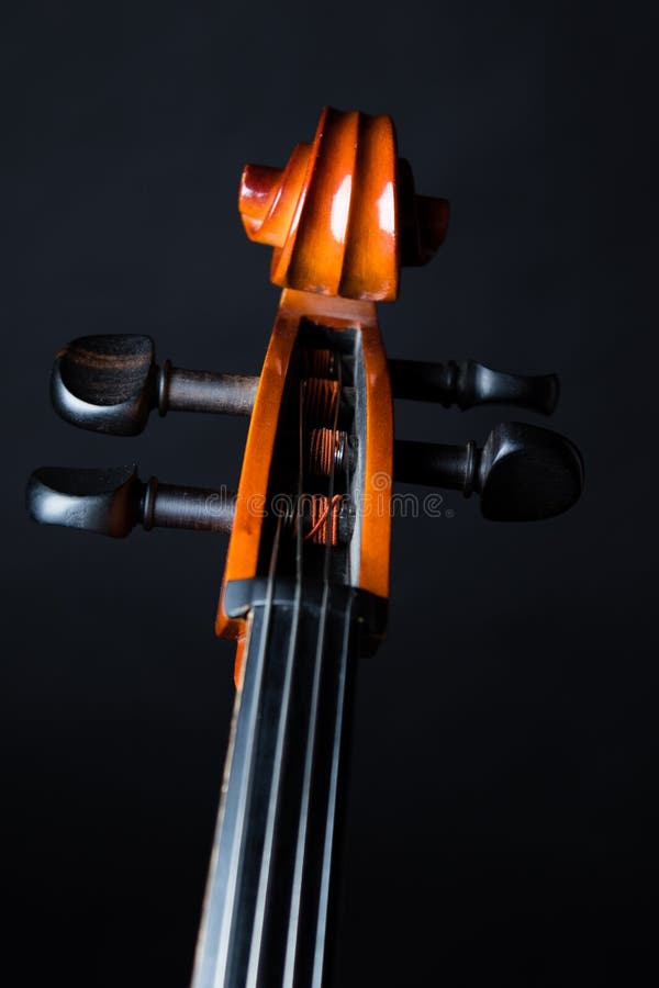 Detail of the Cello Being Played during the Concert Stock Image - Image ...