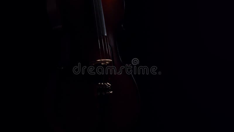 Cello, Dimly Lit, Makes Half Turn on Dark Background in Studio, Front ...