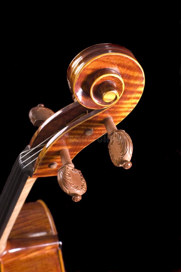 Cello head stock image. Image of classical, cello, accompaniment - 8387057