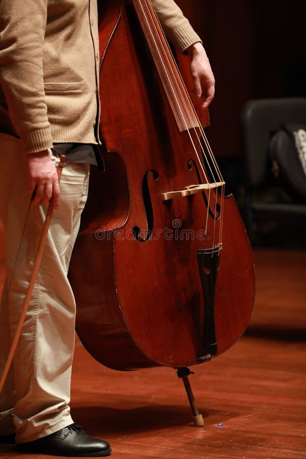 Cello Player. Composer, Music. Stock Image - Image of dark, performance ...