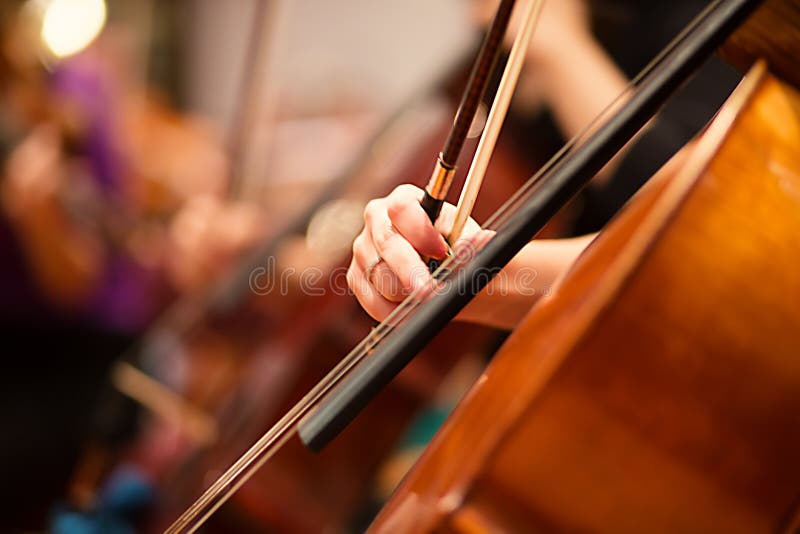 Cello Player Performing in an Orchestra Stock Photo - Image of string ...