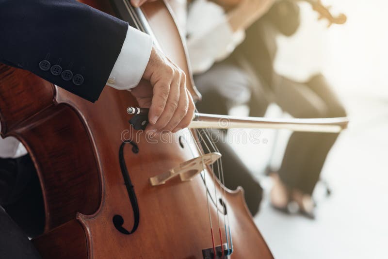 Cello Player S Hands Close Up Stock Image - Image of cellist, event ...