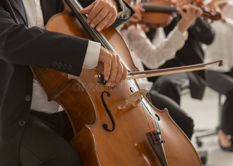 Unrecognizable Professional String Players Stock Photos - Free ...