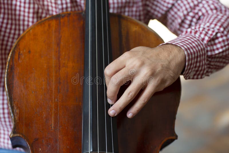 Cello Playing Cellist Hands Close Up Orchestra Instruments Stock Image ...