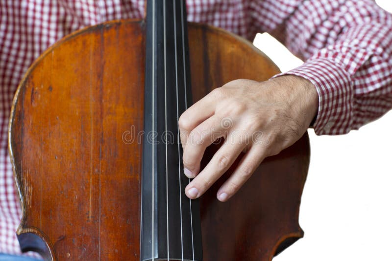 Cello Playing Cellist Hands Close Up Orchestra Instruments Isolated ...