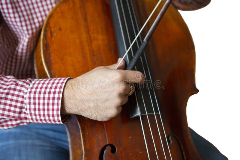 Orchestra Instruments stock photo. Image of keyboard - 17494136
