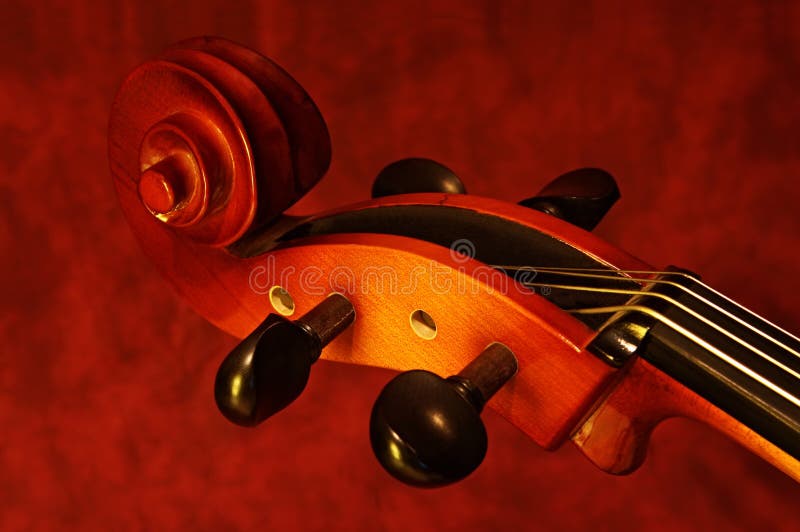 Cutaway Cello Scroll