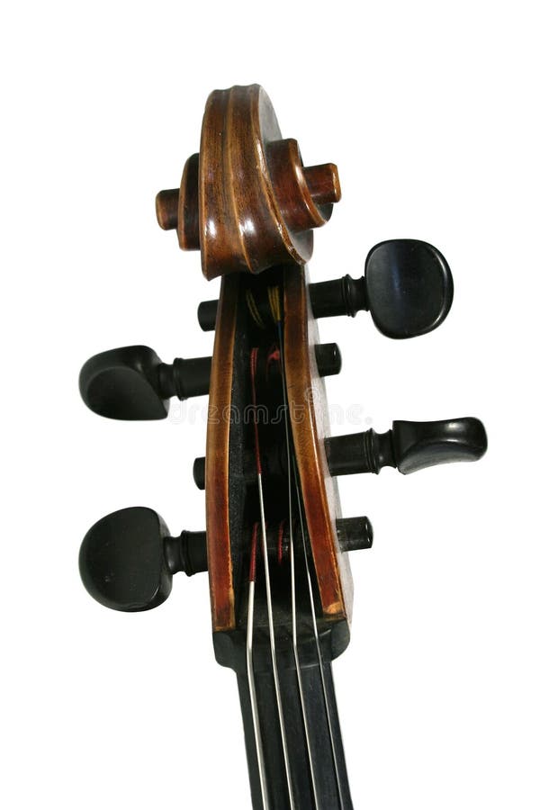 Cutaway Cello Scroll