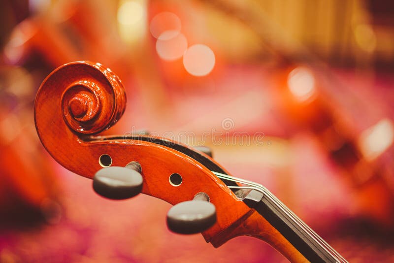 Cello scroll on headstock stock photo. Image of detail - 264270352