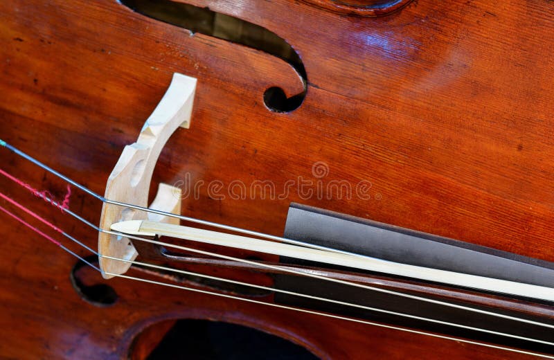 Cello on the stage. stock photo. Image of historical - 206956682