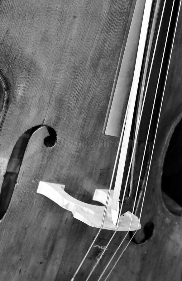 Cello on the stage. stock image. Image of beautiful - 206956771