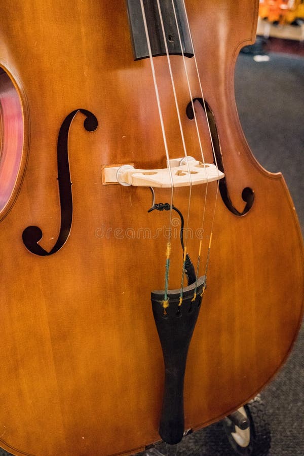 Cello Played by Music Performer Stock Image - Image of concert, black ...